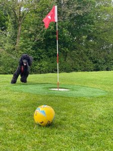 Cornwall FootballGolf Park | Cornwall Football Golf